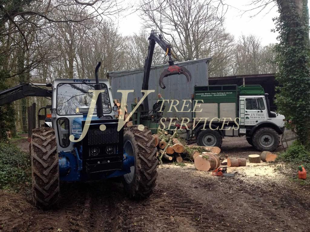 jv-tree-services-lifting-logs-2 - JV Tree Services