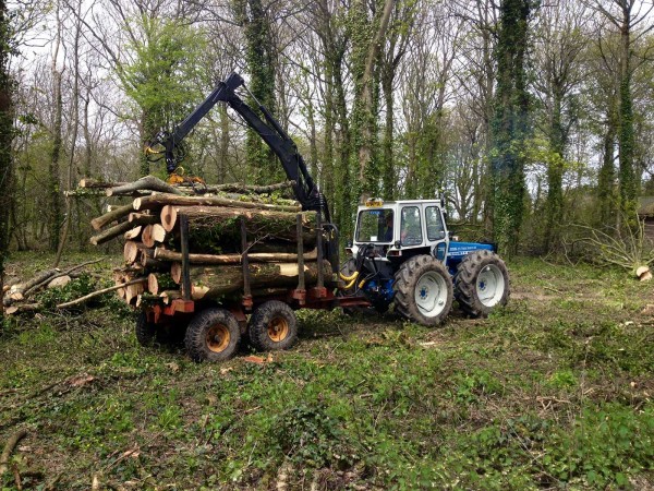 jv-tree-services-van-logs - JV Tree Services